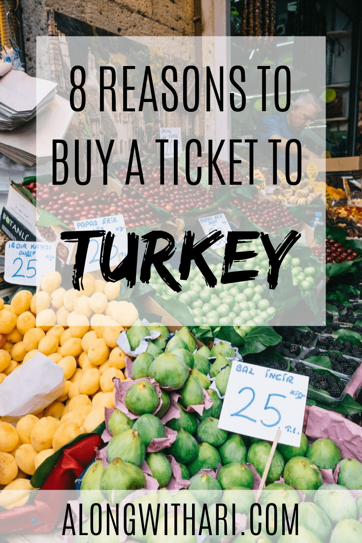 8 Quick Reasons You Should Buy A Ticket To Turkey...Now - Along With Ari